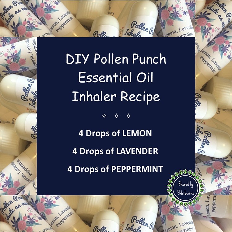 Pollen Punch! | Blessed by Elderberries